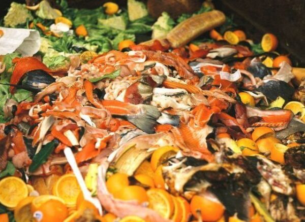 HomeBiogas: Turning Food Waste Into Renewable Energy - HomeBiogas