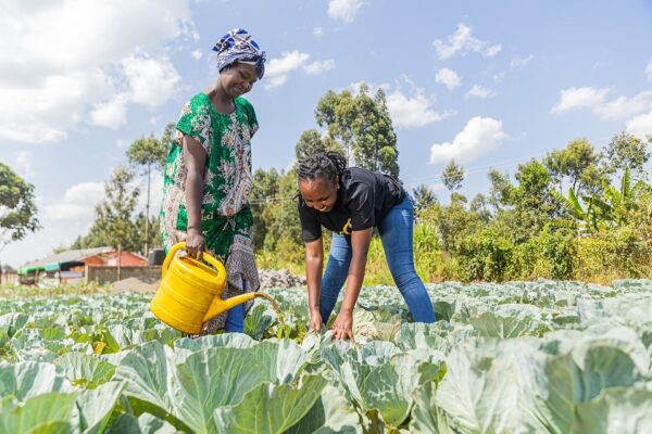 Homebiogas Announces Selling Carbon Credits Through SKOOT An Award ...