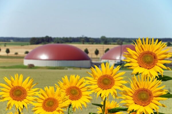 Biomethane Fuel: A Sustainable Energy Solution for the Future - HomeBiogas