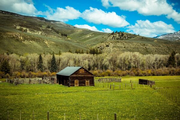 10 Best States For Homesteading - HomeBiogas