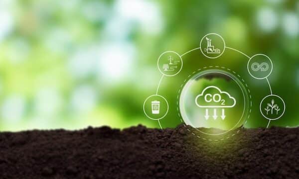 Green Farming for Beginners: 7 Steps to Transform Your Farming ...