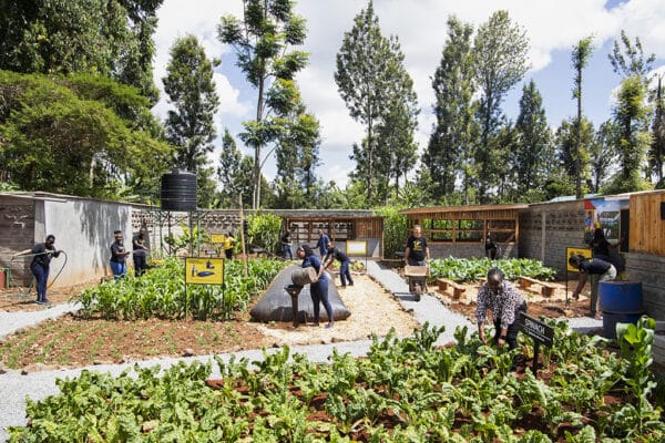 Top 10 Most Effective Ways to Reduce Greenhouse Gas Emissions - HomeBiogas