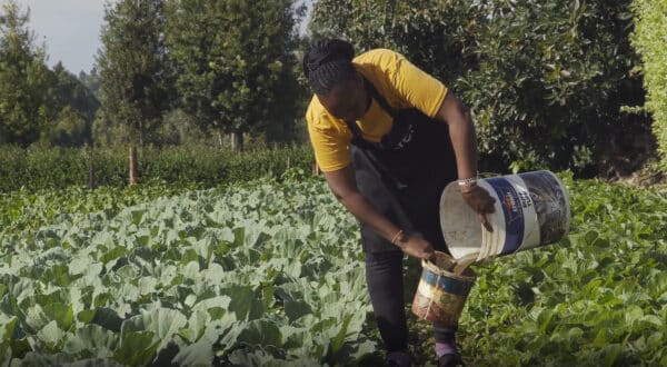 The Future of Sustainable Farming: Understanding Bio-Slurry from the ...